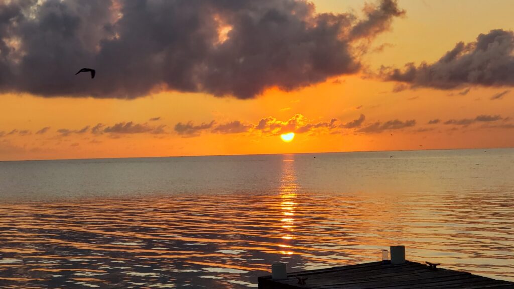 Foreman's Caye Archives - Glassbox Tours Belize